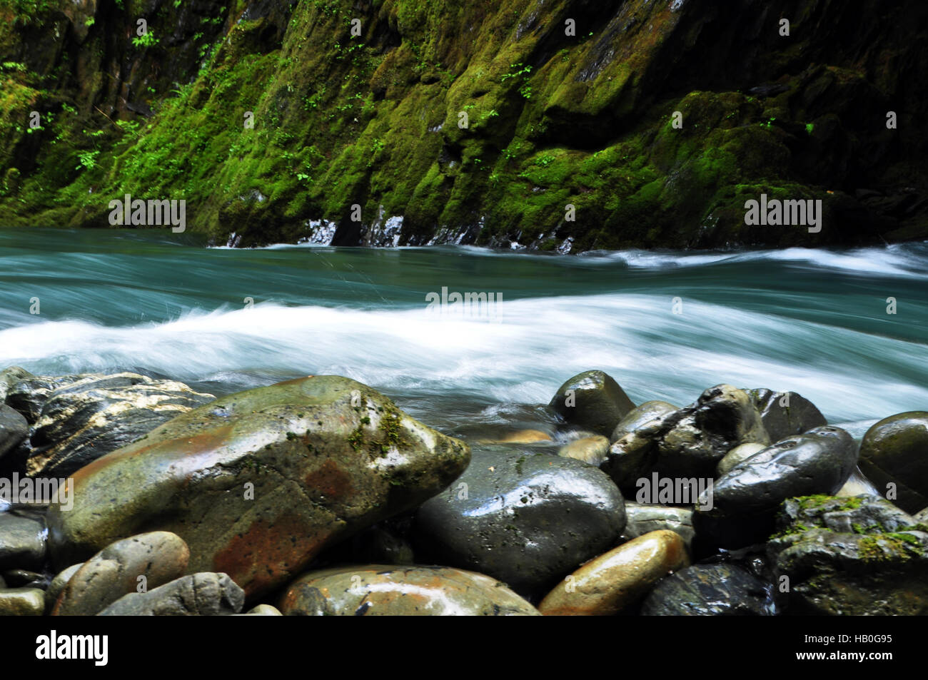 Rock and water design, Quinault River, Olympic National Park ...