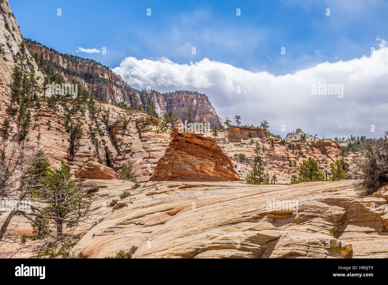 Zion Canyon National Park Utah Stock Photo - Alamy