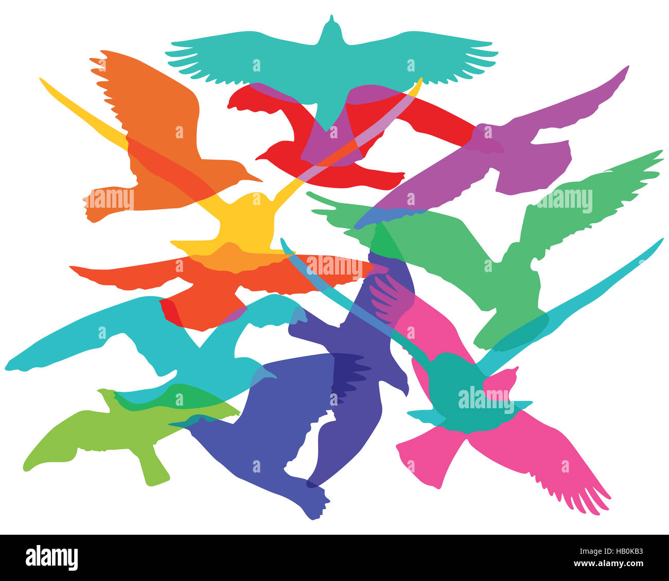 Flock with Cut Out Stock Images & Pictures - Alamy