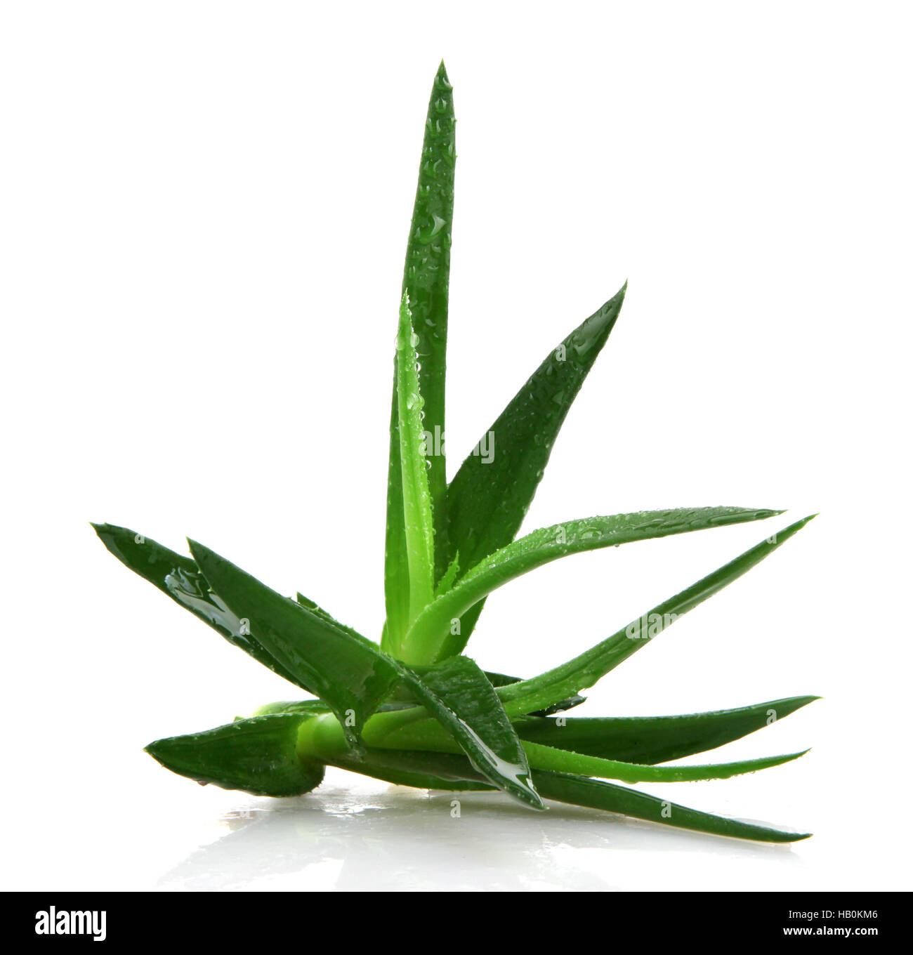Vera su hi-res stock photography and images - Alamy
