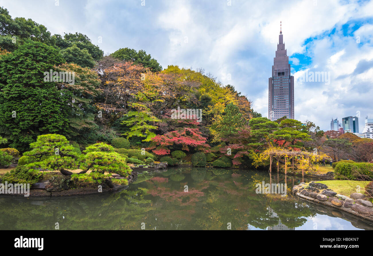 Shinjuku Gyoen Park in autumn, Tokyo, Japan Stock Photo - Alamy