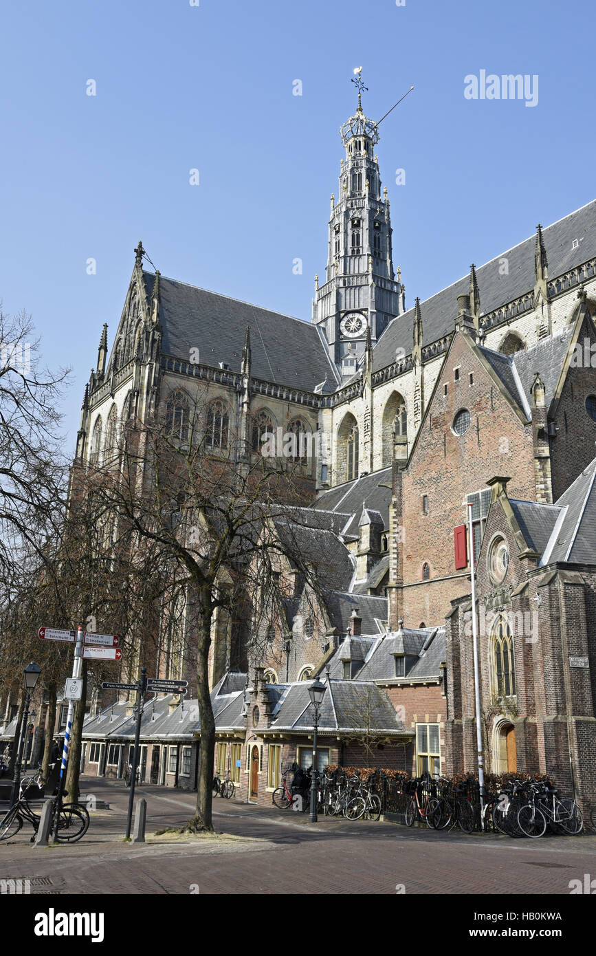 Grote Kerk, church, Haarlem, The Netherlands Stock Photo - Alamy