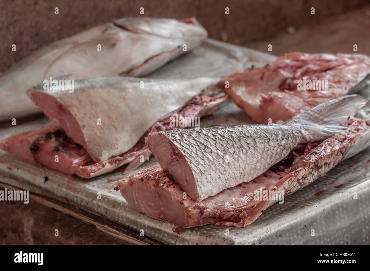 Fish Fillets at the Fish market Stock Photo - Alamy