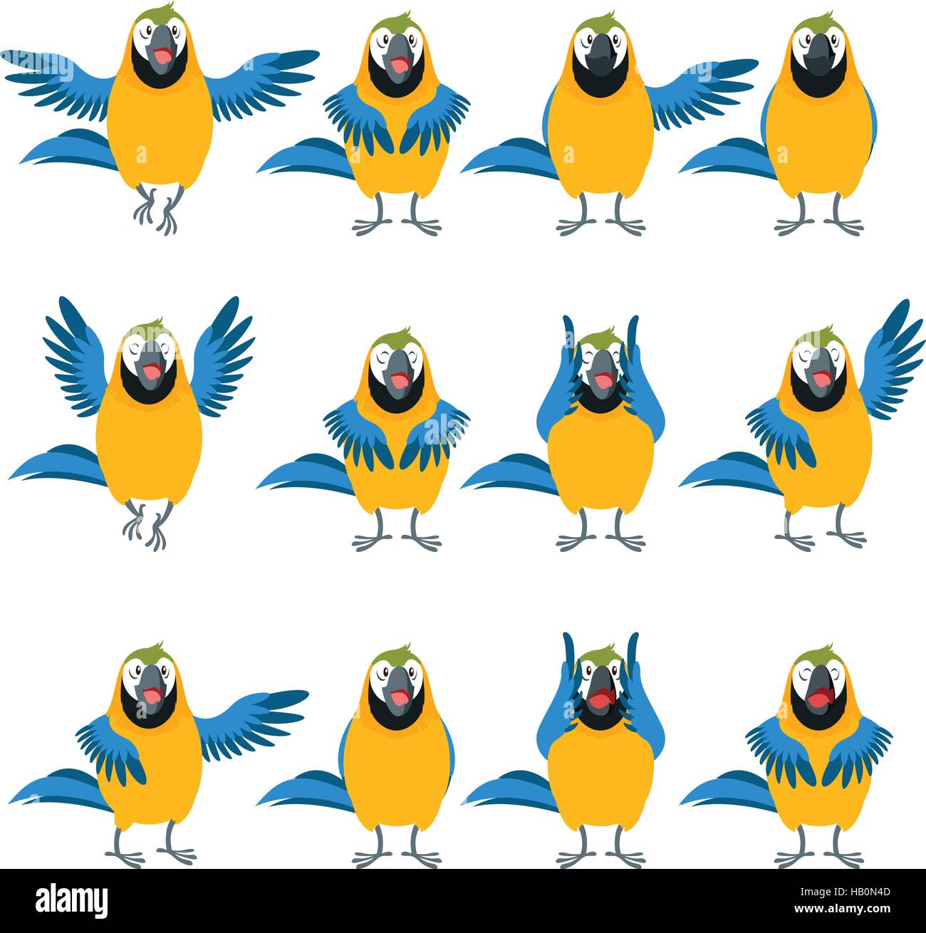 Macaw set hi-res stock photography and images - Alamy