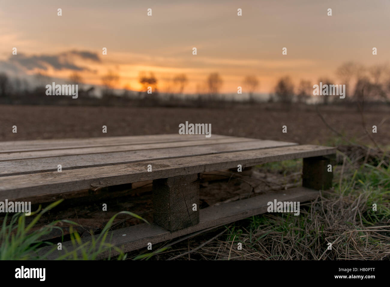 Empty pallet hi-res stock photography and images - Alamy
