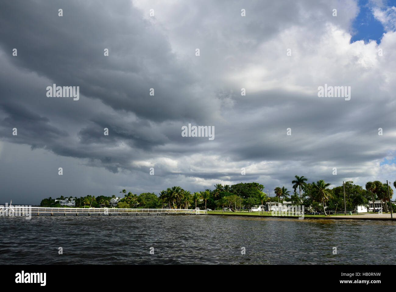 Bokeelia florida hi-res stock photography and images - Alamy