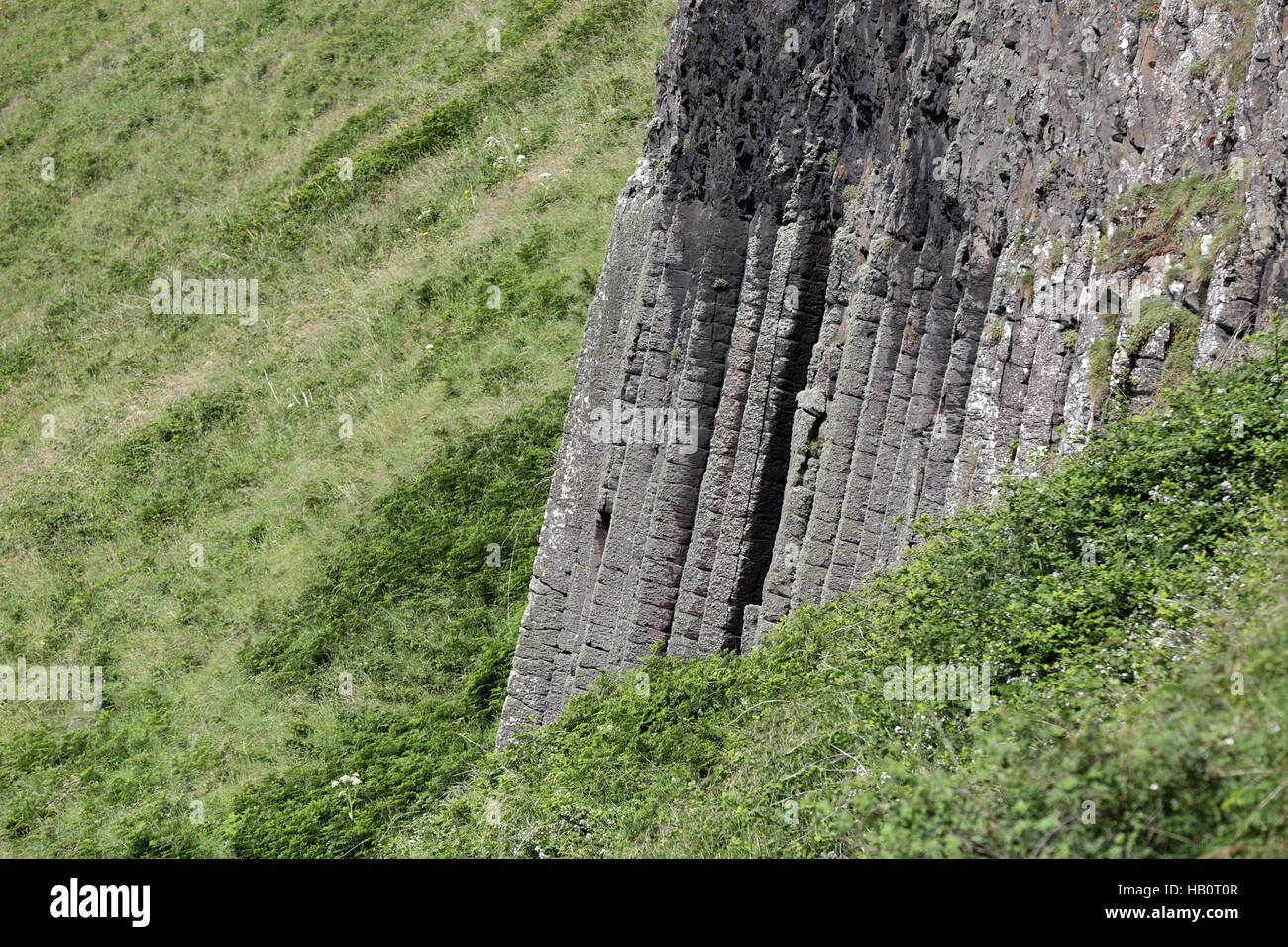 Basalt colums of Giant's Causeway, Ulster GB Stock Photo - Alamy