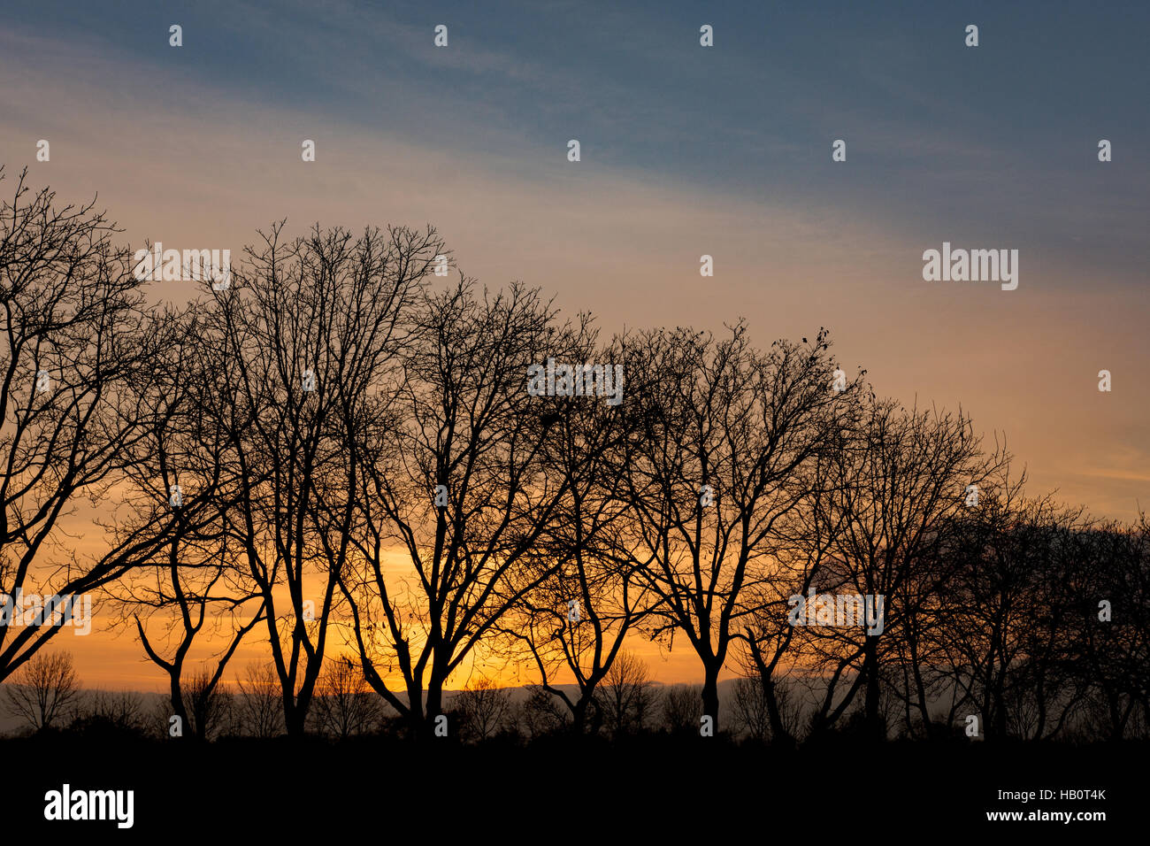 Row sunset hi-res stock photography and images - Alamy