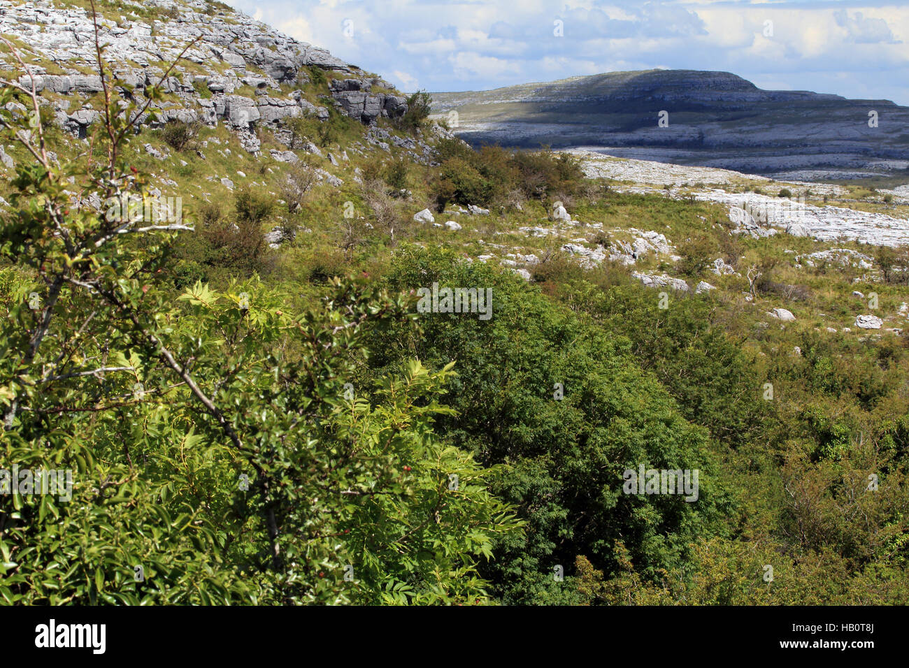 Burren landscape, County Clare, Ireland Stock Photo - Alamy