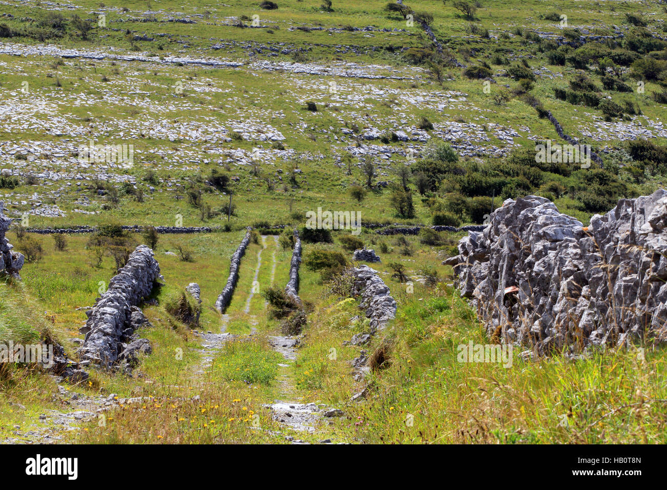Burren landscape, County Clare, Ireland Stock Photo - Alamy