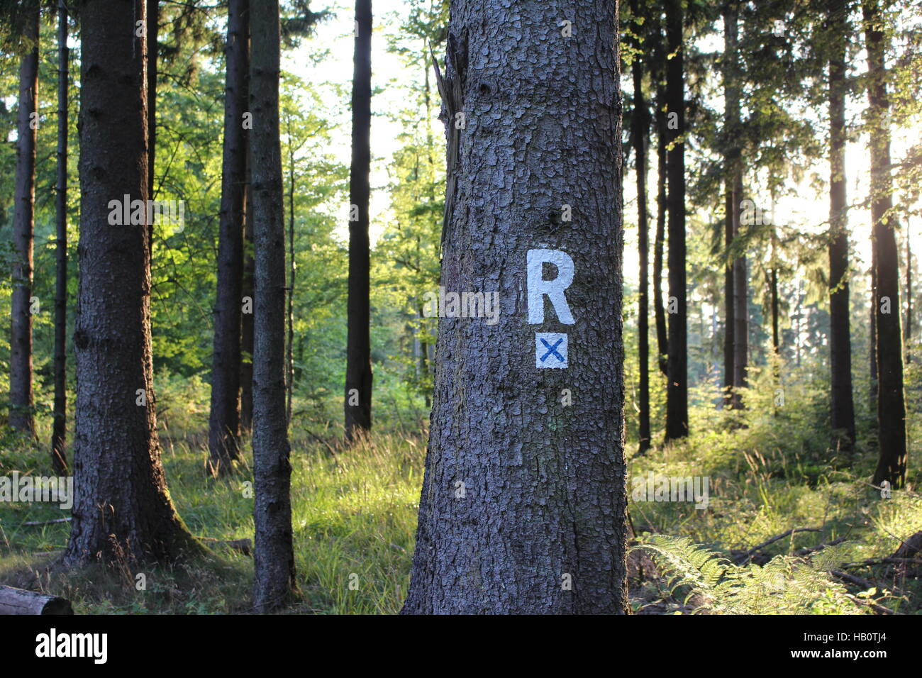 Rennsteig thuringia hi-res stock photography and images - Alamy