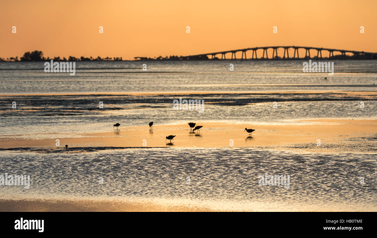 Sunset, San Carlos Bay, Bunche Beach Preserve, Florida Stock Photo - Alamy