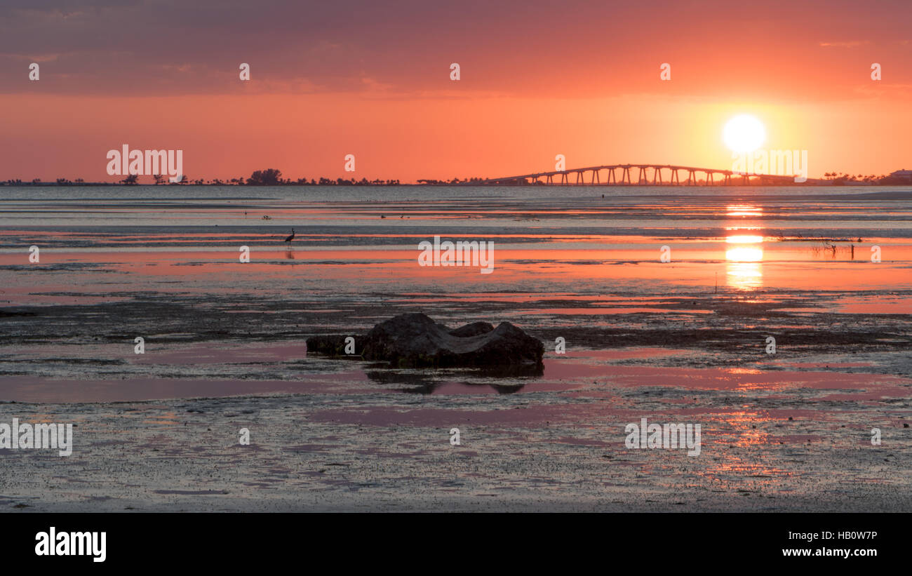 Sunset, San Carlos Bay, Bunche Beach Preserve, Florida Stock Photo - Alamy