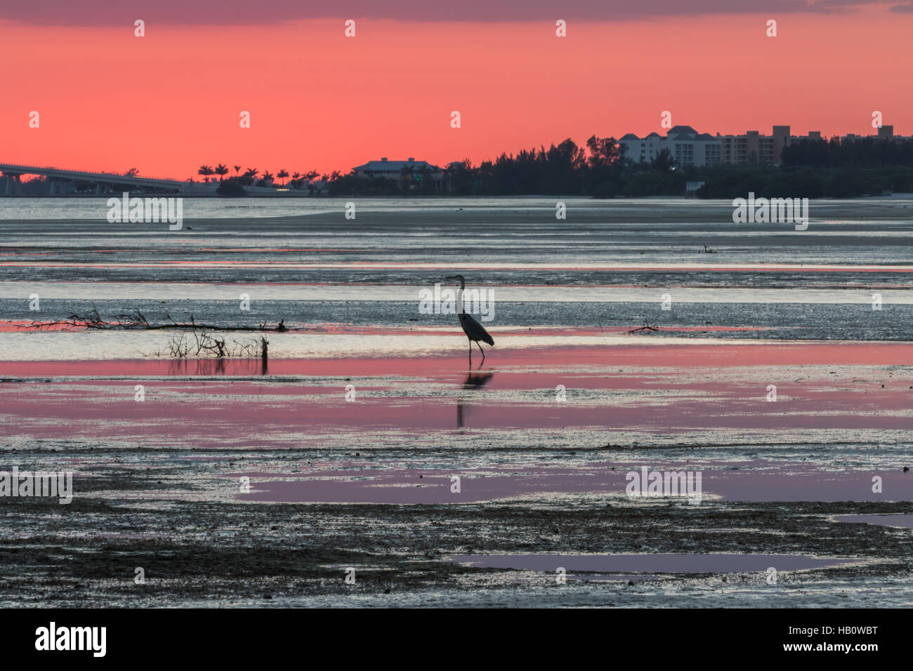 Sunset, San Carlos Bay, Bunche Beach Preserve, Florida Stock Photo - Alamy