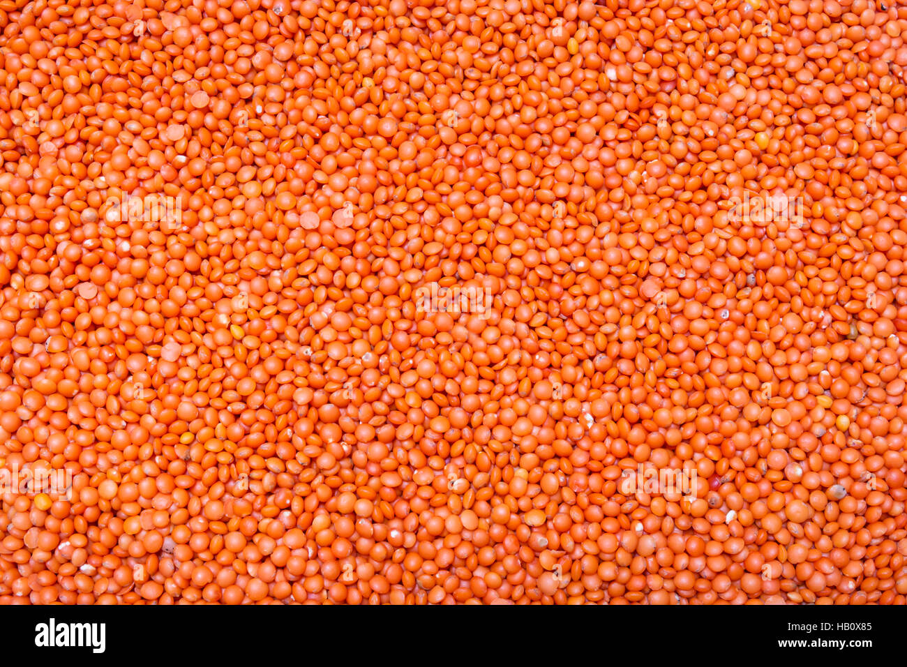 red lentil background, texture Stock Photo - Alamy