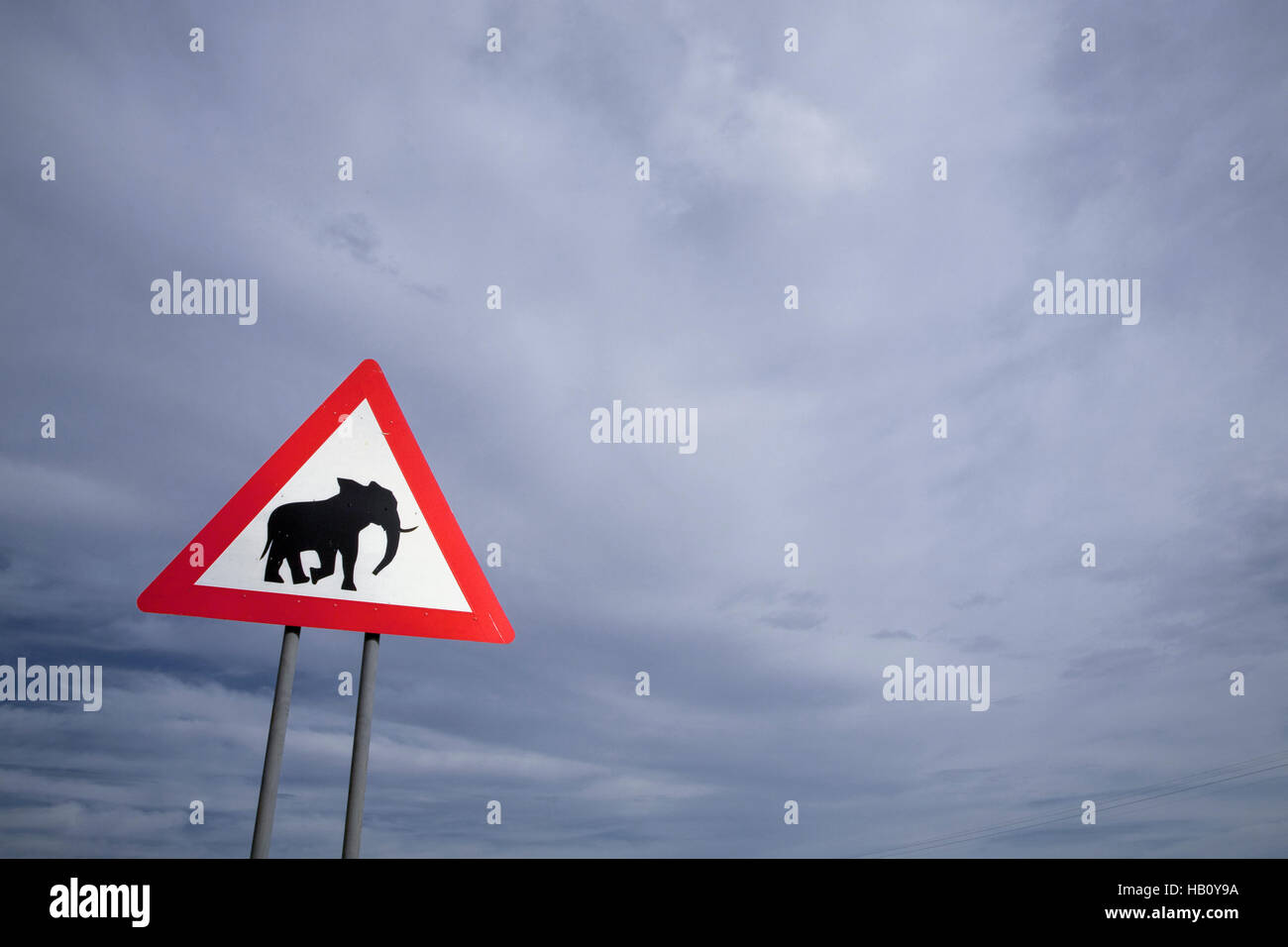 Traffic Danger Elephant Crossing Road Sign in Namibia, Africa Stock ...