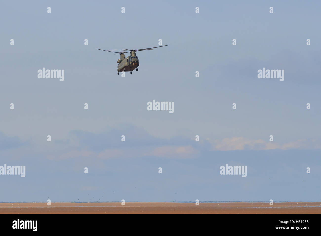 The Ch-47 Chinook Helicopter being displayed by the RAF display team at ...