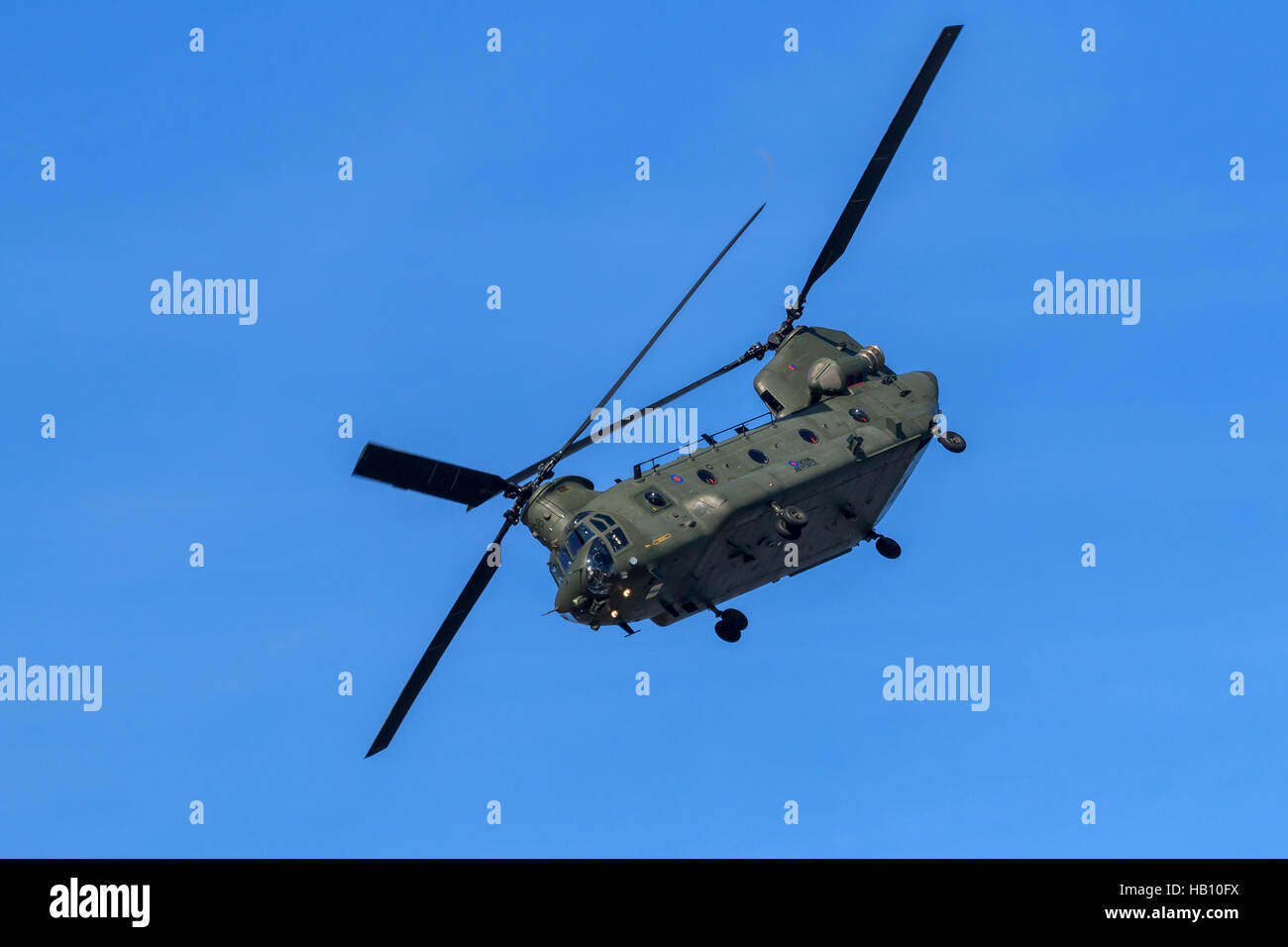 The Ch-47 Chinook Helicopter being displayed by the RAF display team at ...
