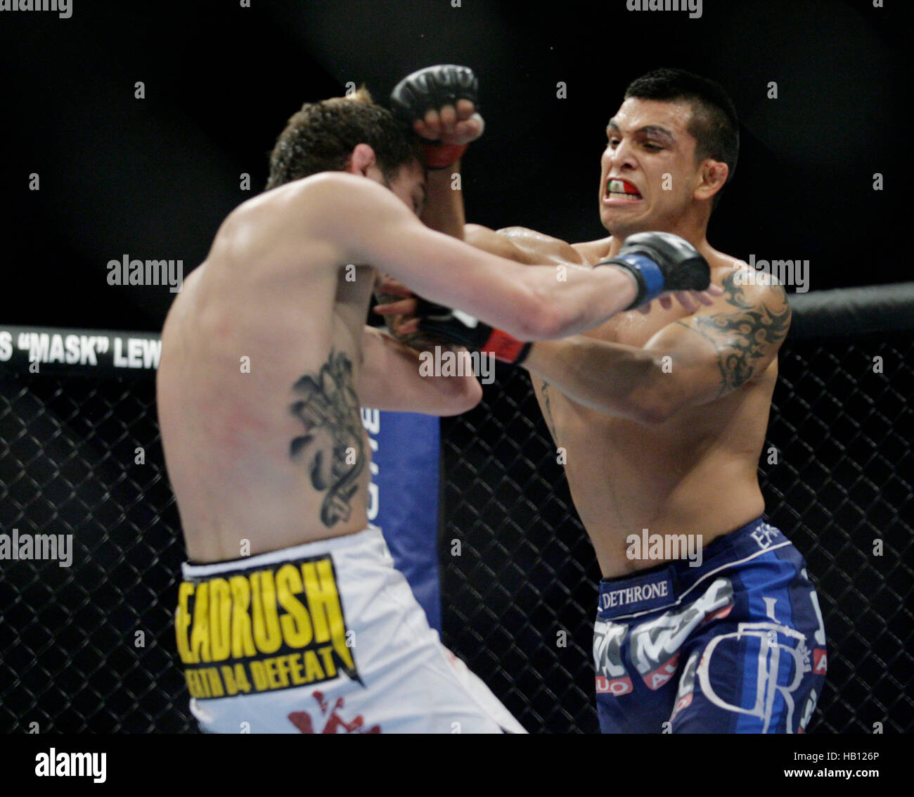 UFC fighter Dan Lauzon, left, fights Efrain Escudero at UFC 114 on May ...