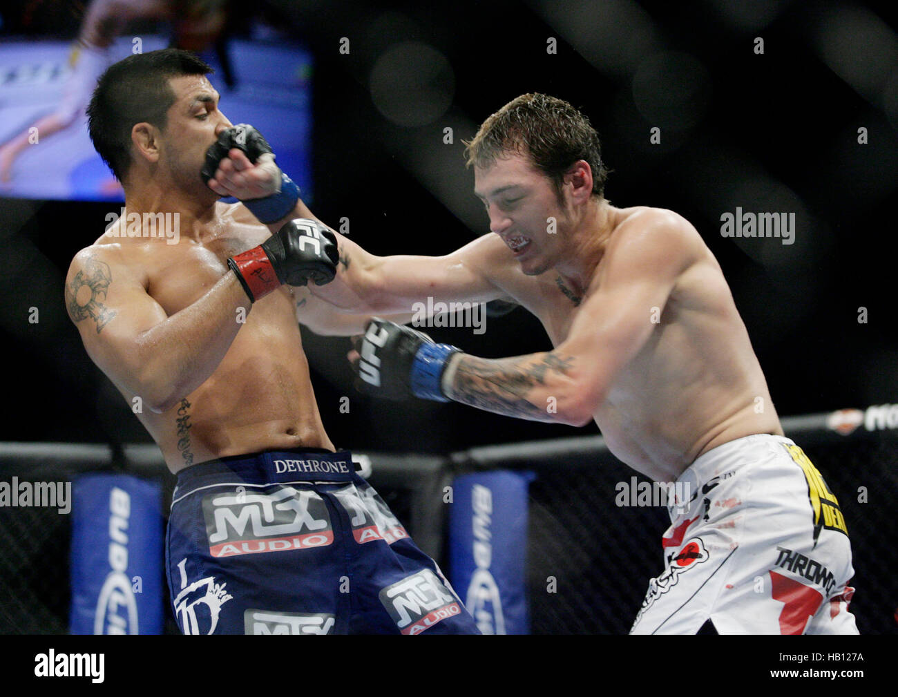 UFC fighter Dan Lauzon, right, fights Efrain Escudero at UFC 114 on May ...