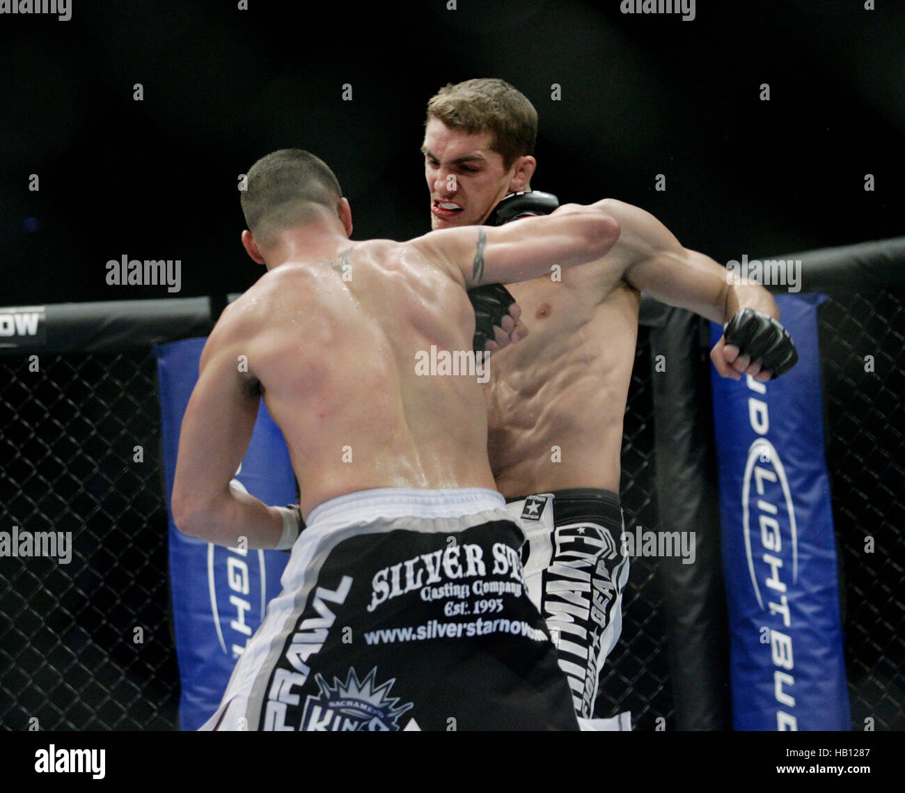 UFC fighter John Hathaway, right, fights Diego Sanchez at UFC 114 on ...