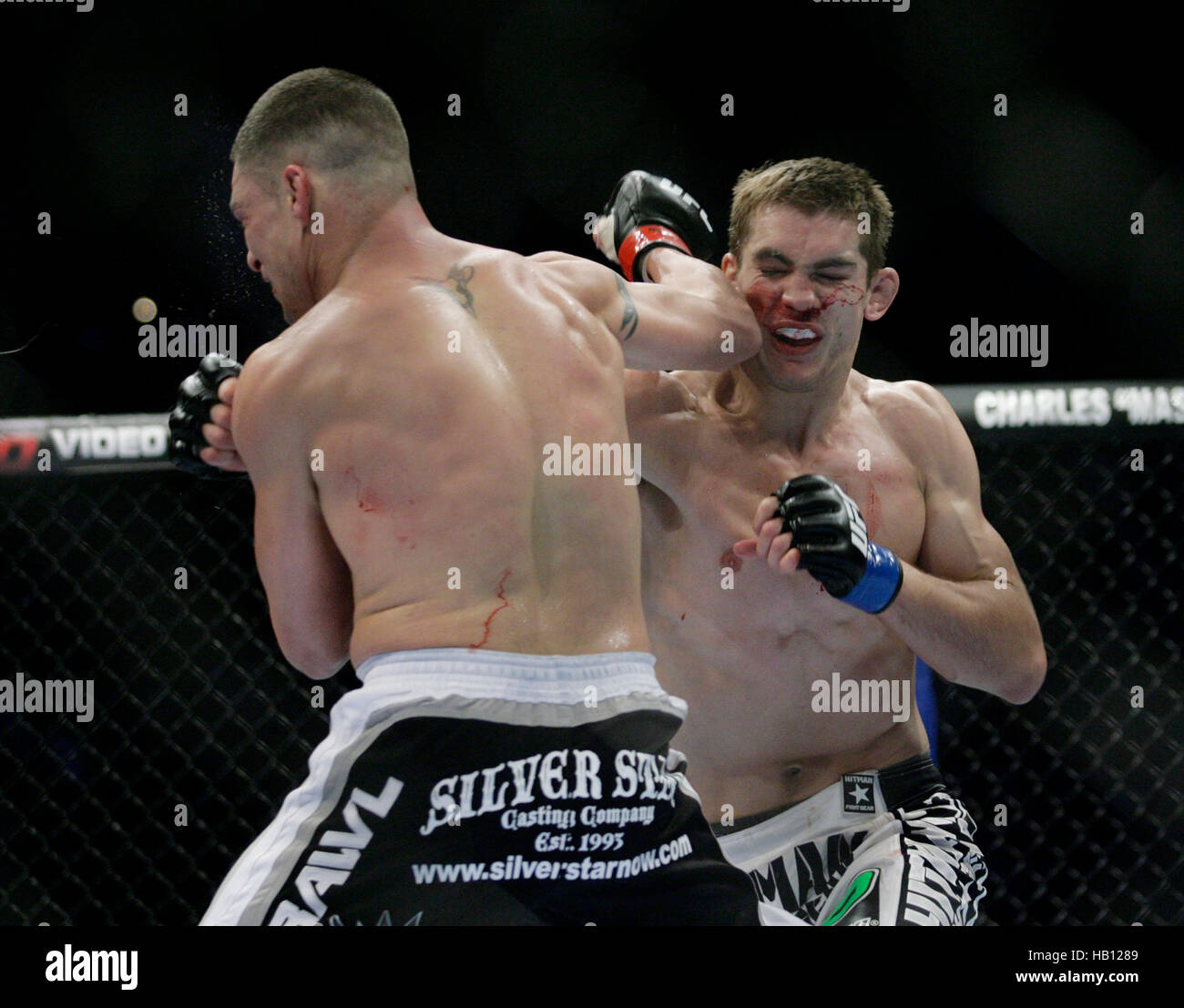 UFC fighter John Hathaway, right, fights Diego Sanchez at UFC 114 on ...