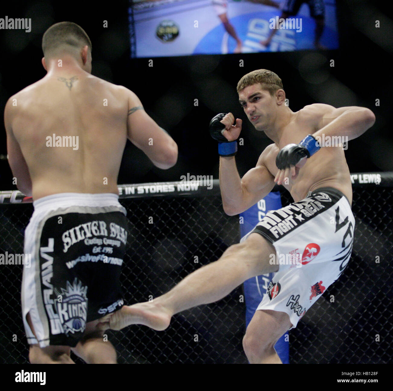 UFC fighter John Hathaway, right, fights Diego Sanchez at UFC 114 on ...