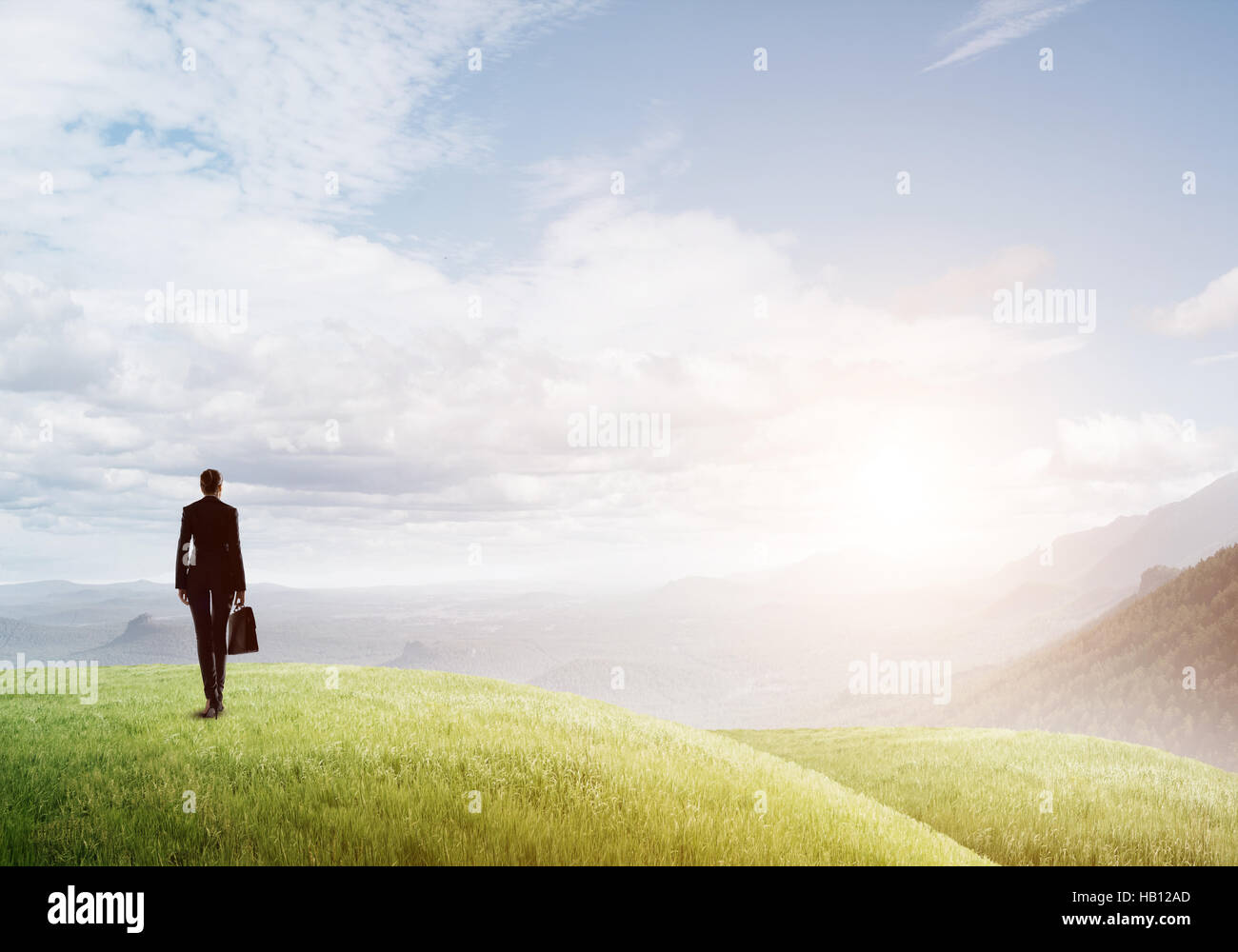 Achieving top of success Stock Photo - Alamy