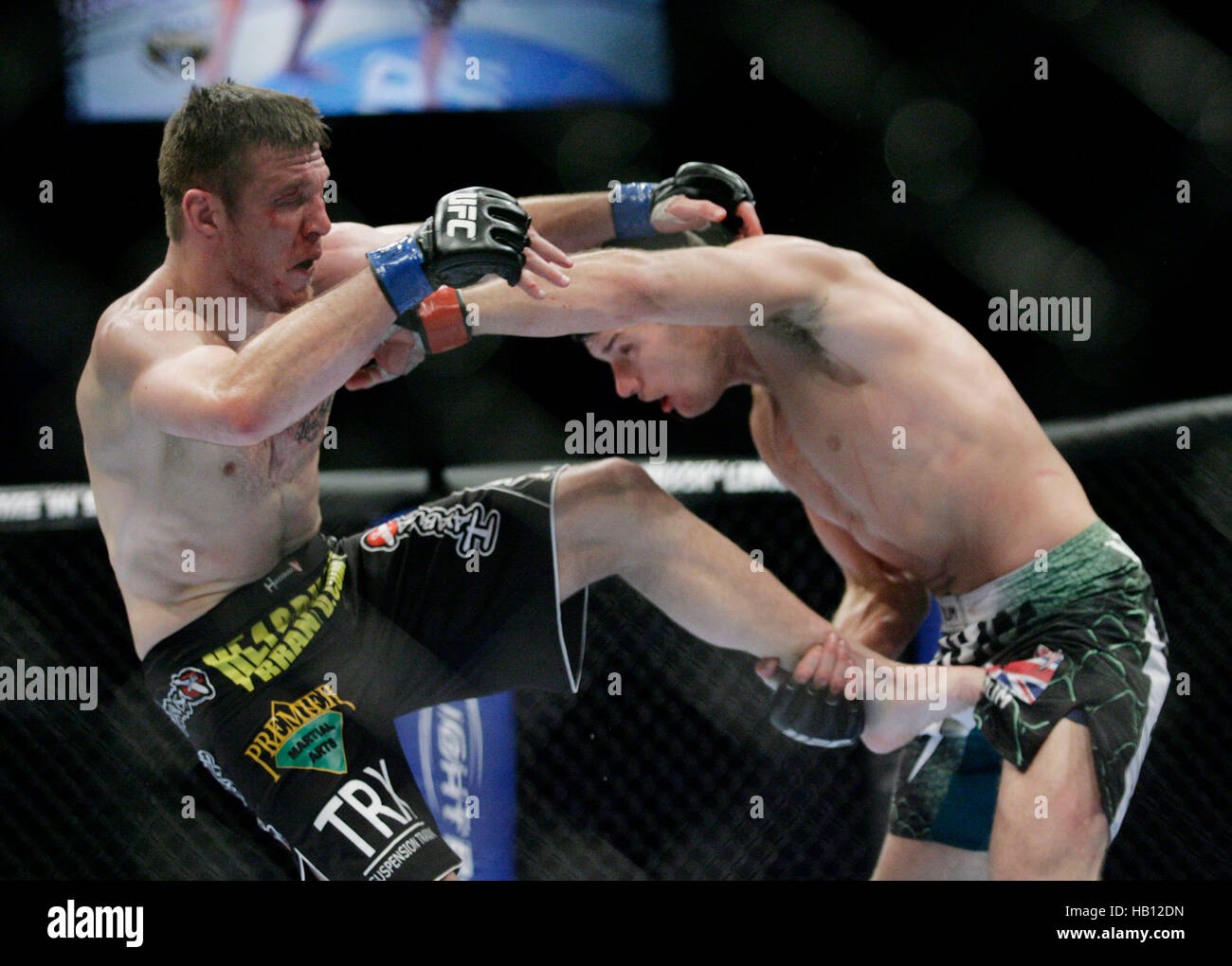 UFC fighter Michael Bisping, right, fights Dan Miller at UFC 114 on May ...