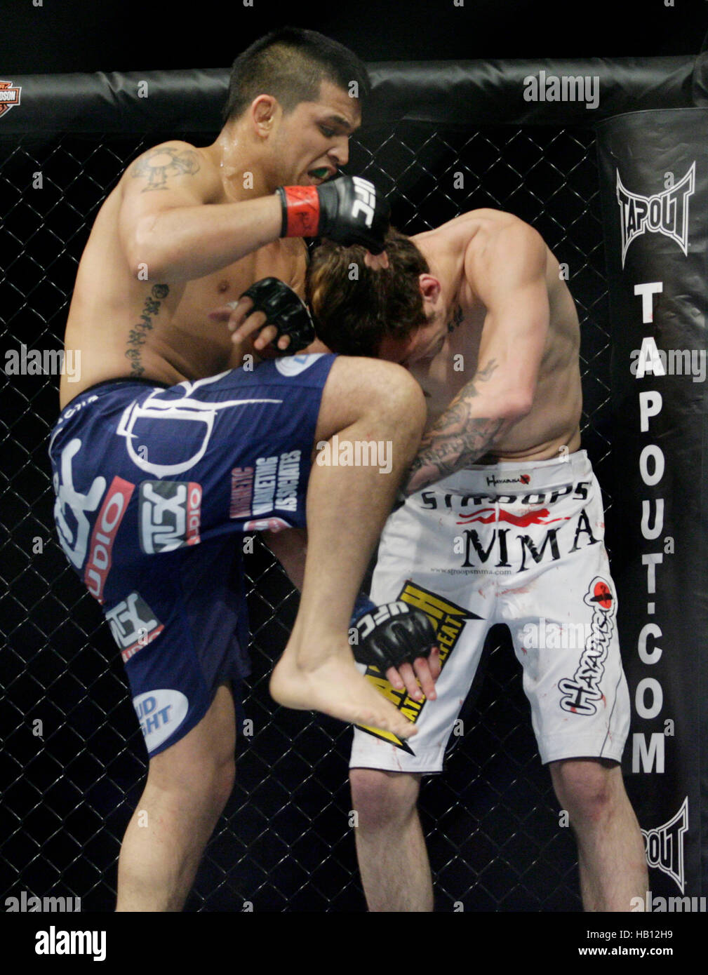 UFC fighter Dan Lauzon, right, fights Efrain Escudero at UFC 114 on May ...