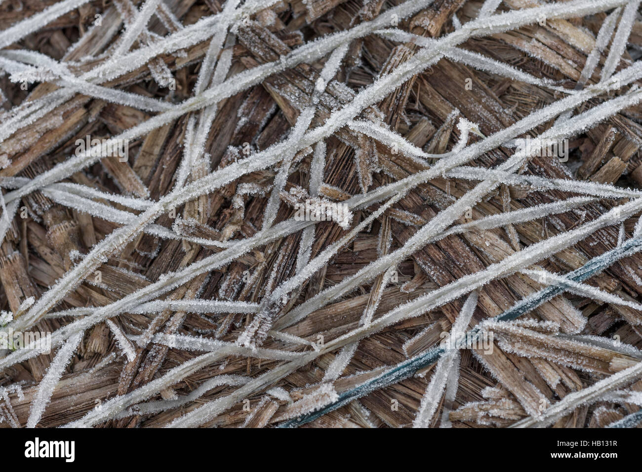 Frost crystals on straw bale binder webbing Stock Photo - Alamy