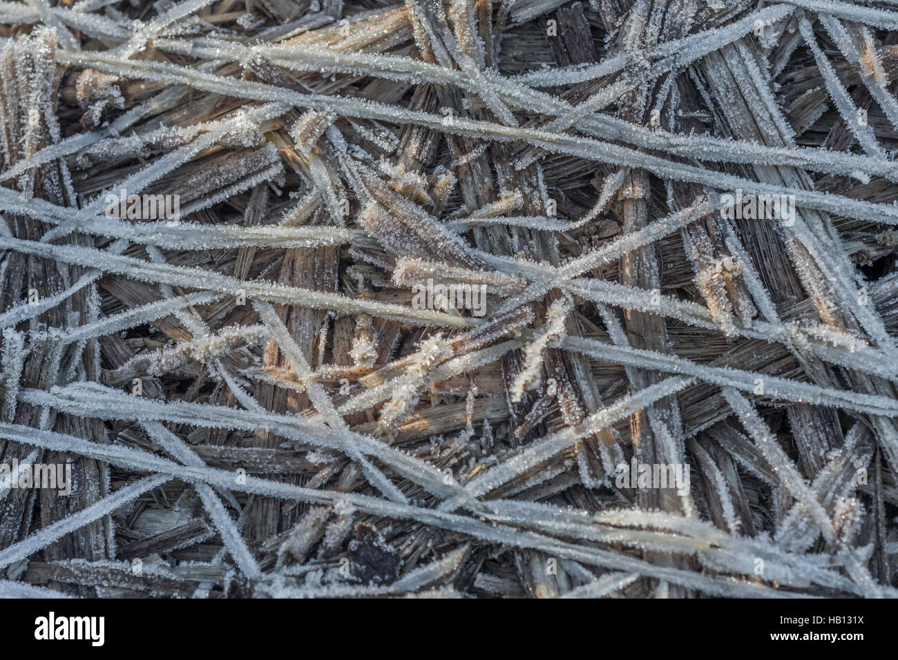 Frost crystals on straw bale binder webbing Stock Photo - Alamy