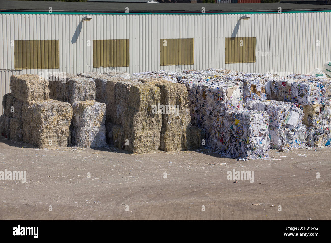 Recycling pappe hi-res stock photography and images - Alamy