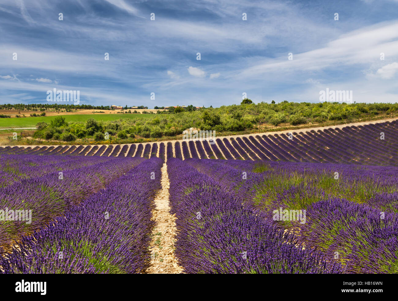 Valensole countryside hi-res stock photography and images - Alamy