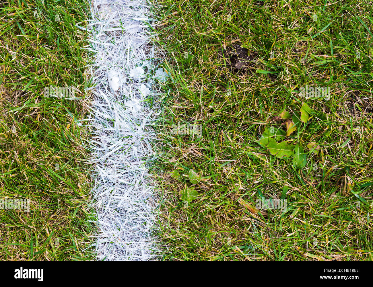 White line on the grass of sporting stadium green background Stock ...