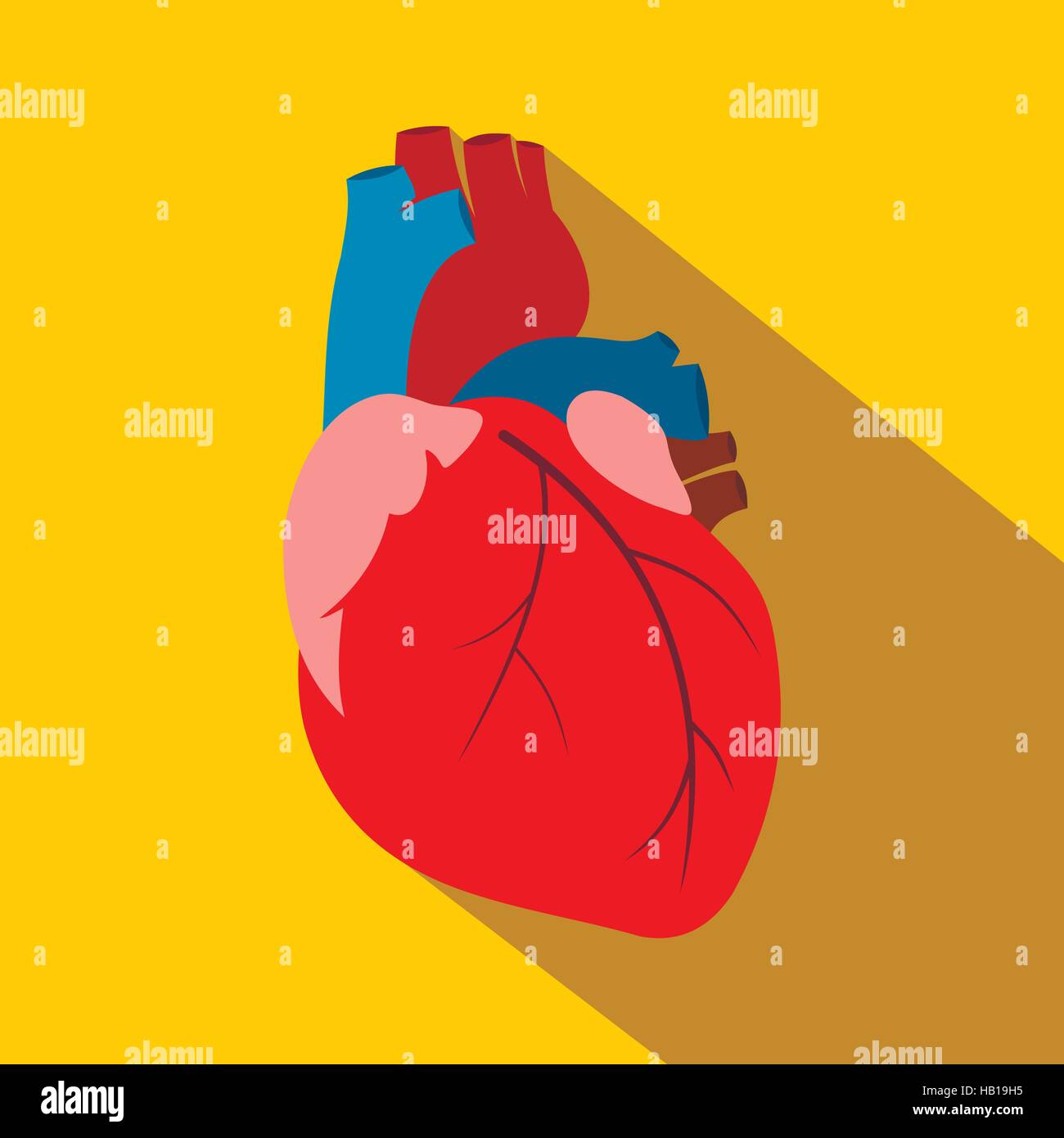 Human heart flat icon Stock Vector Image & Art - Alamy