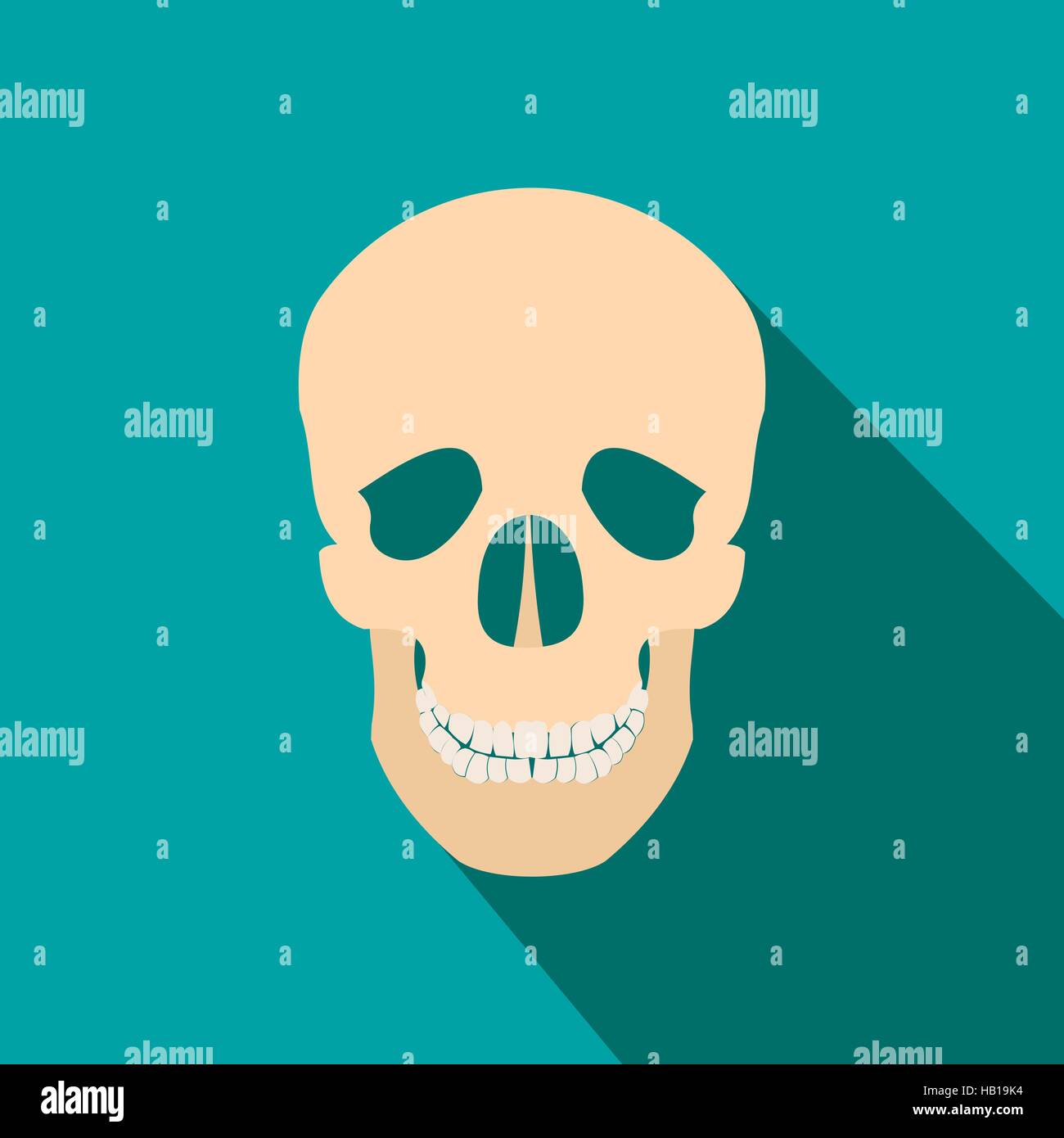 Human skull flat icon with shadow Stock Vector Image & Art - Alamy
