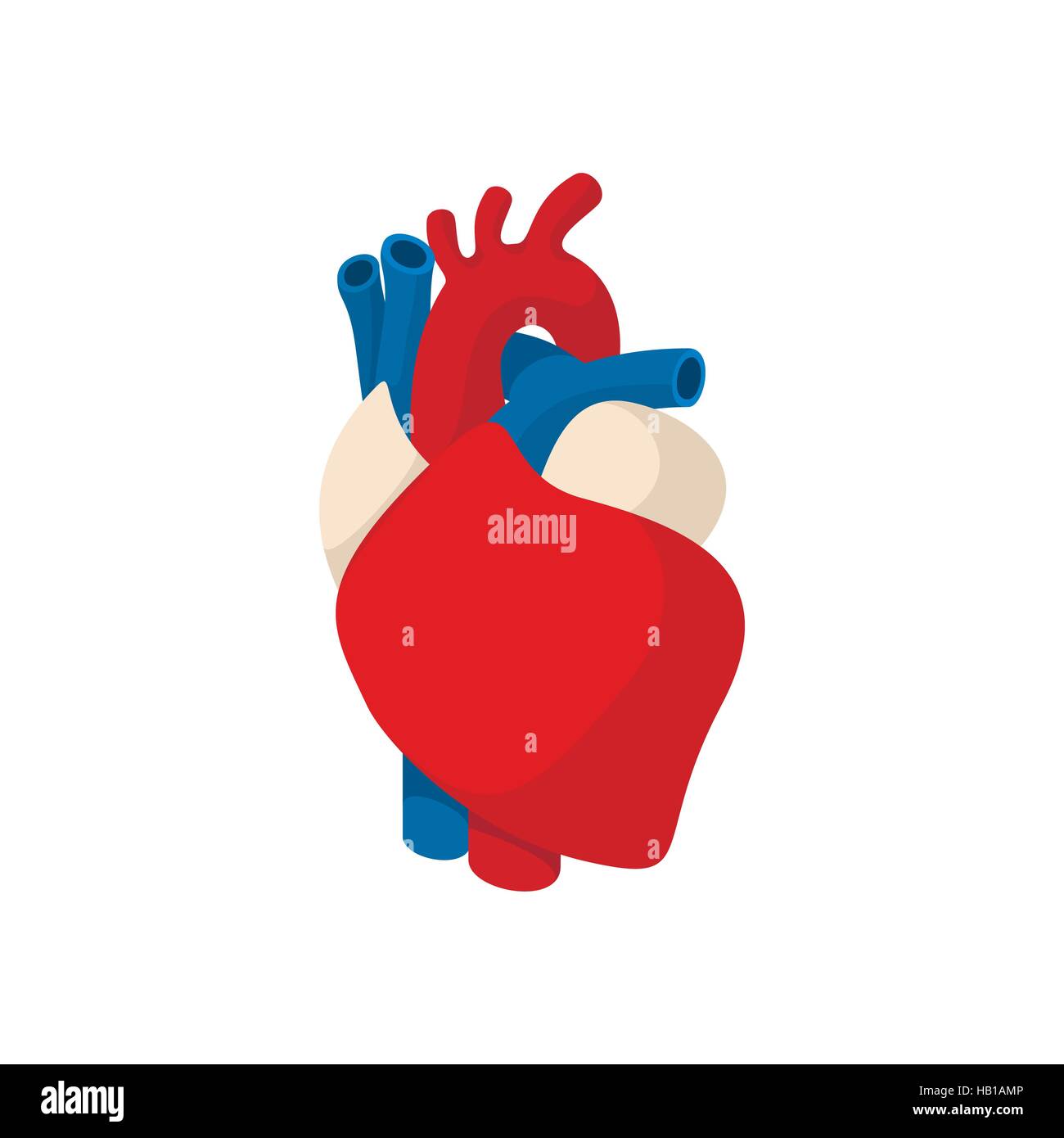 Human vein laboratory Cut Out Stock Images & Pictures - Alamy