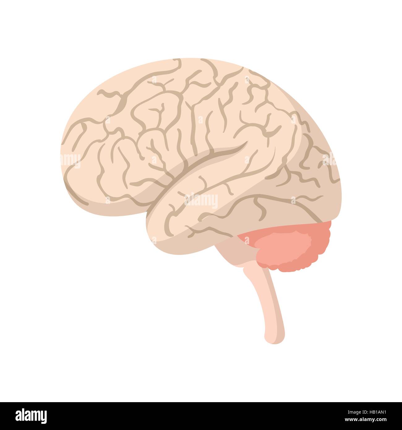 Human brain cartoon icon Stock Vector Image & Art - Alamy