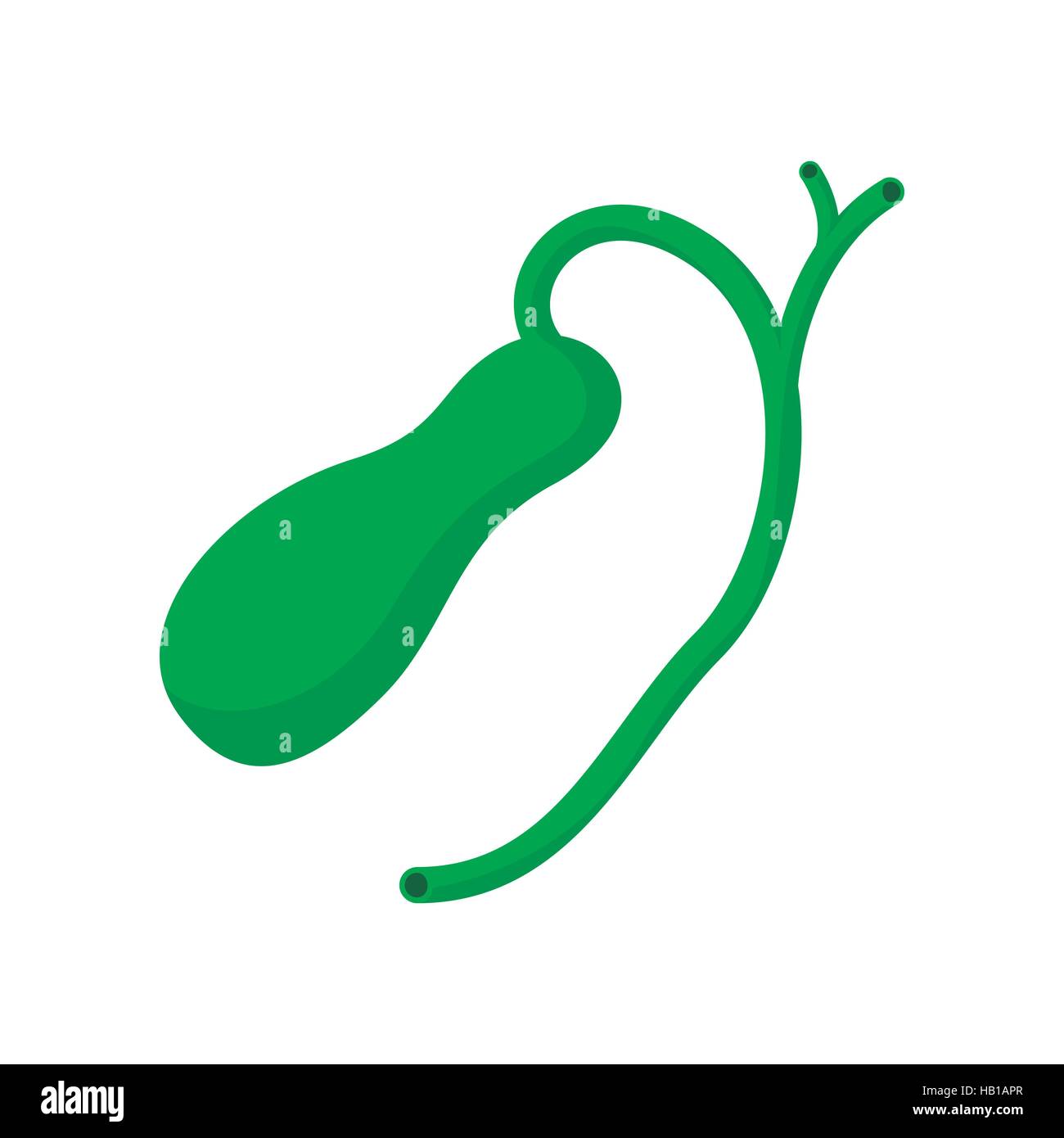 Gallbladder removal hi-res stock photography and images - Alamy