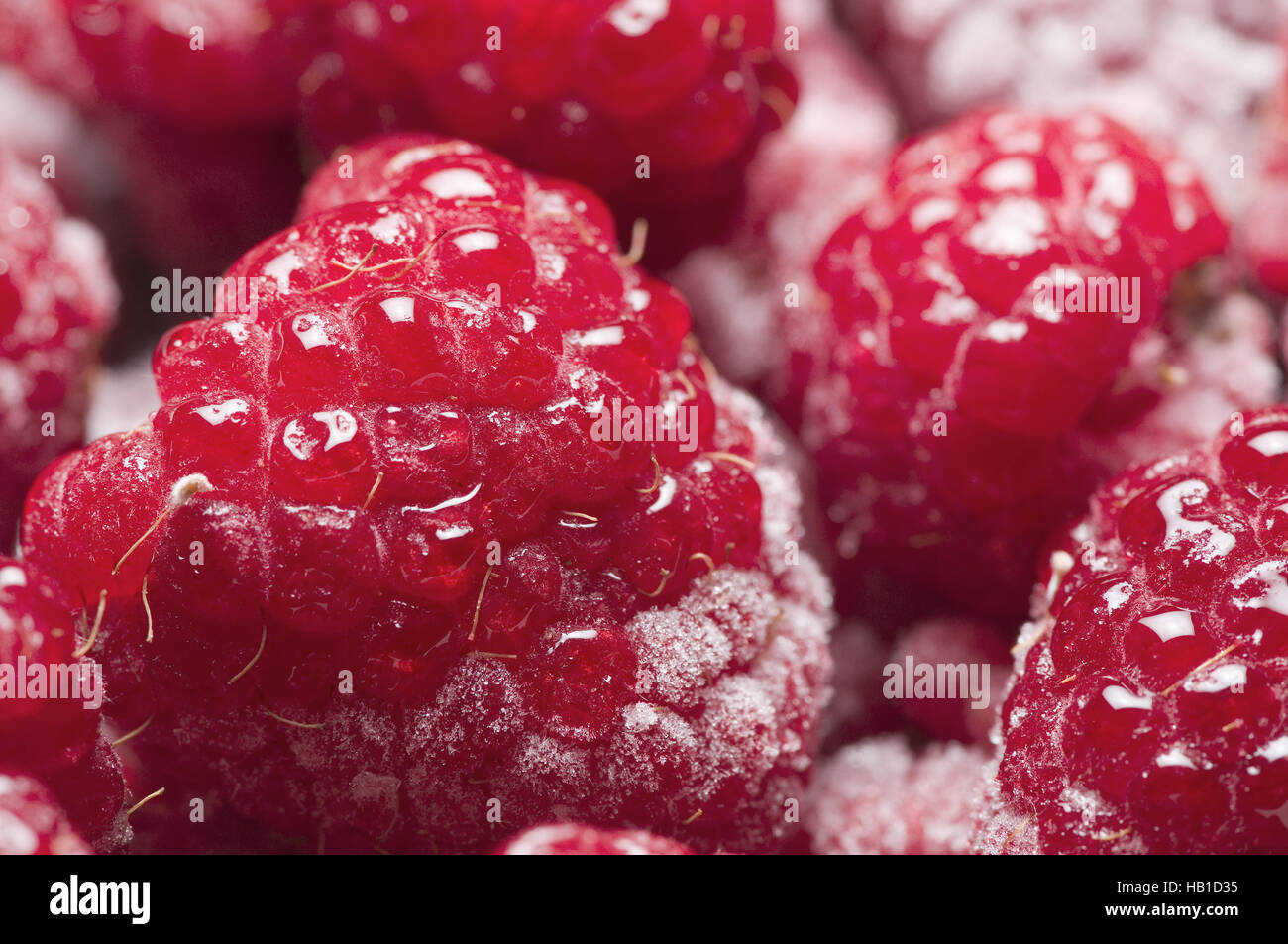 raspberry fresh closeup Stock Photo - Alamy