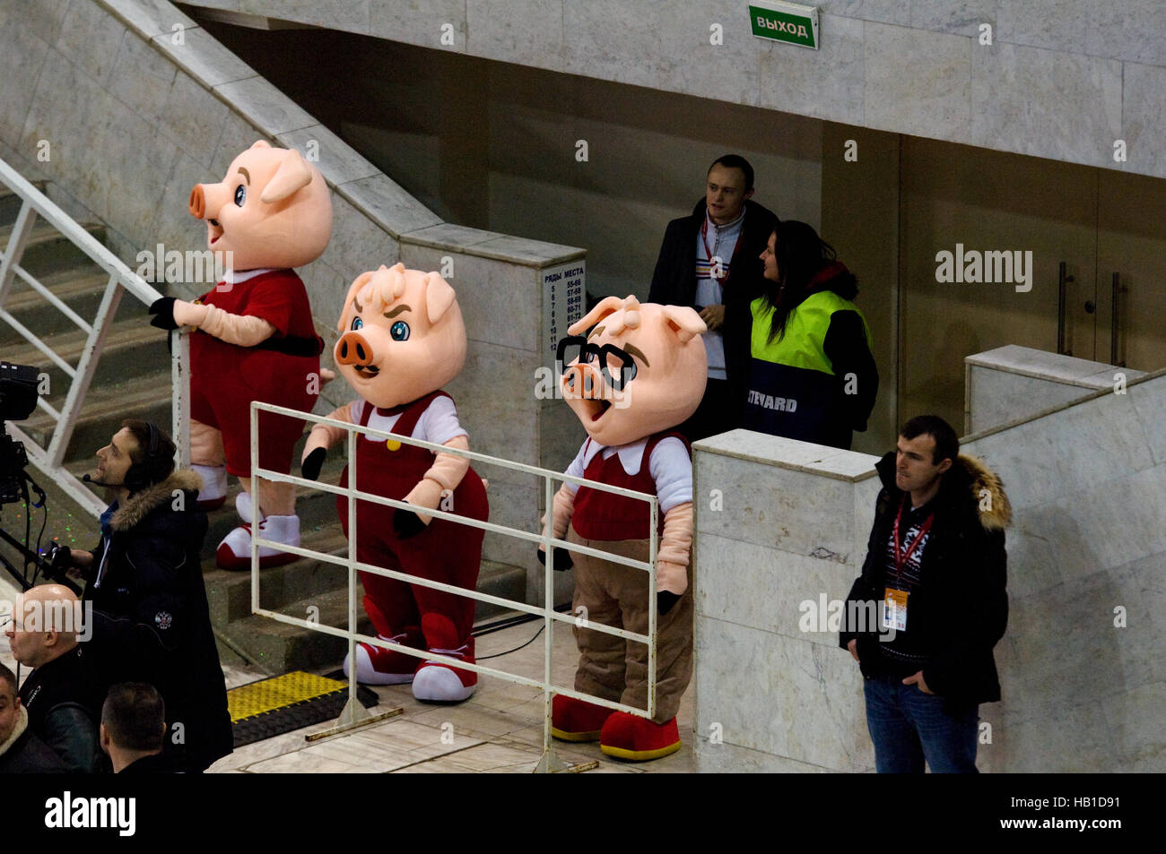 MOSCOW, RUSSIA - NOVEMBER 26, 2016: Three mascot pigs on tribune on ...