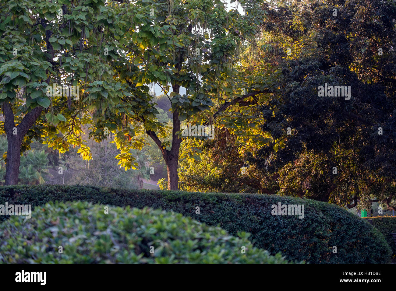 Parque de la Paloma. Benalmádena, Málaga, Spain Stock Photo - Alamy