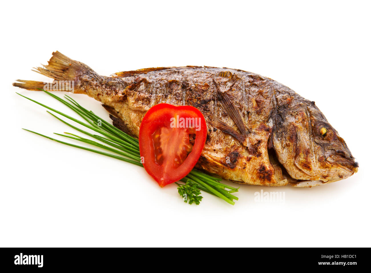 Dorada fish hi-res stock photography and images - Alamy