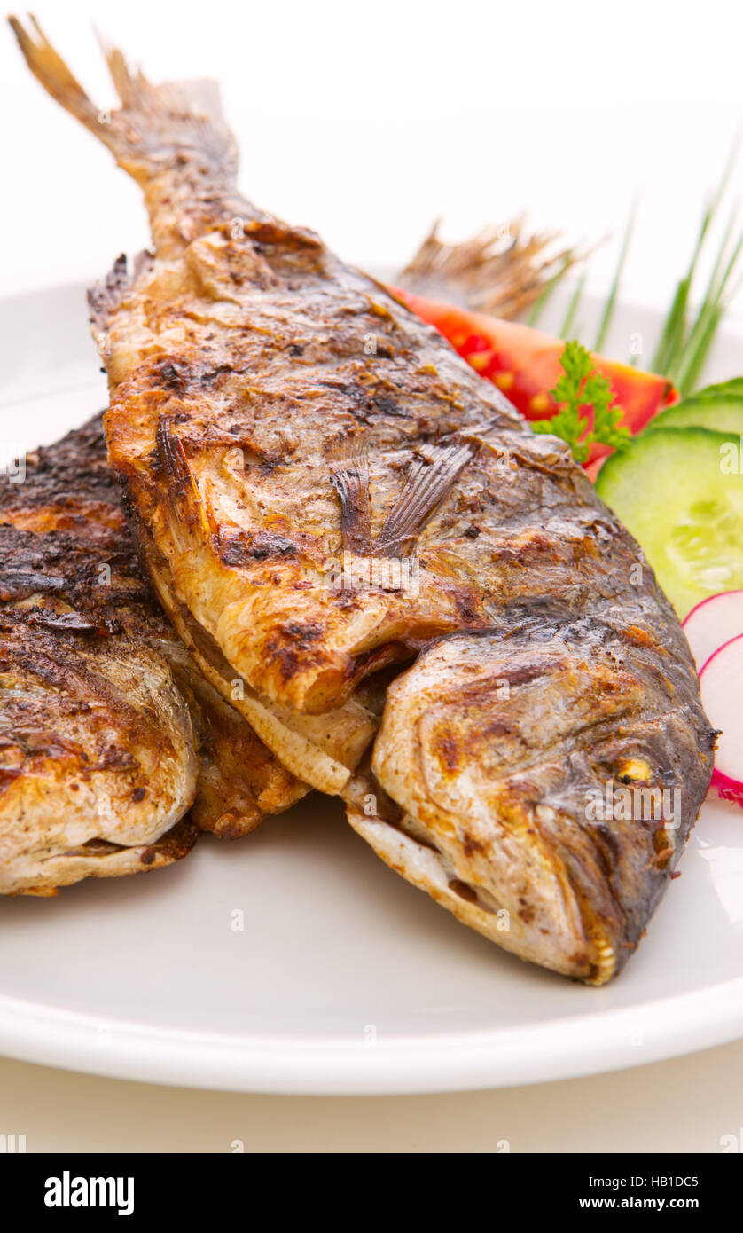 Dorada fish hi-res stock photography and images - Alamy