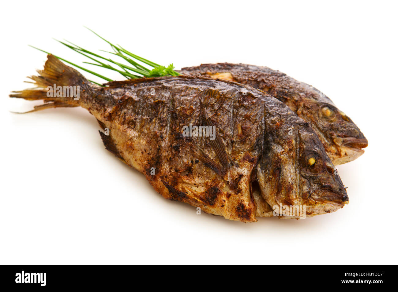 Two roasted dorade fish isolated Stock Photo - Alamy