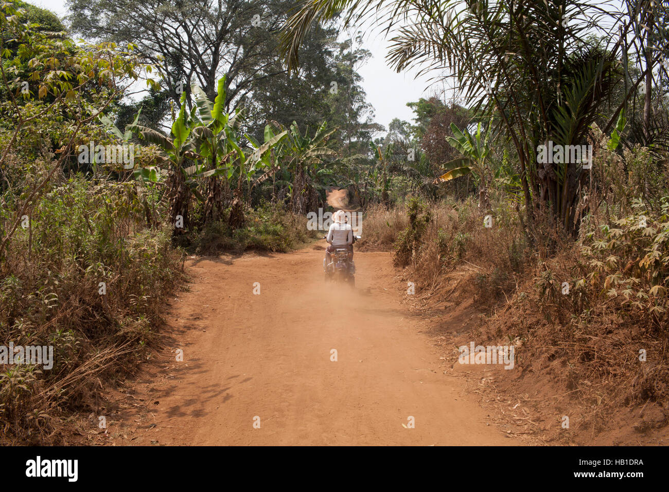 Rural African dusty track in the hamlet of Bambili north west Cameroon ...