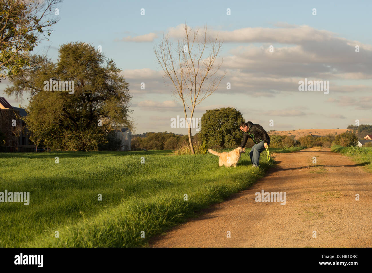 Golden Retriever and Owner Stock Photo - Alamy