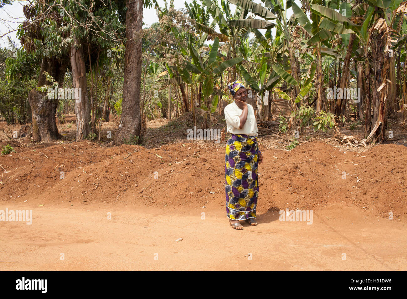 Rural African dusty track in the hamlet of Bambili north west Cameroon ...