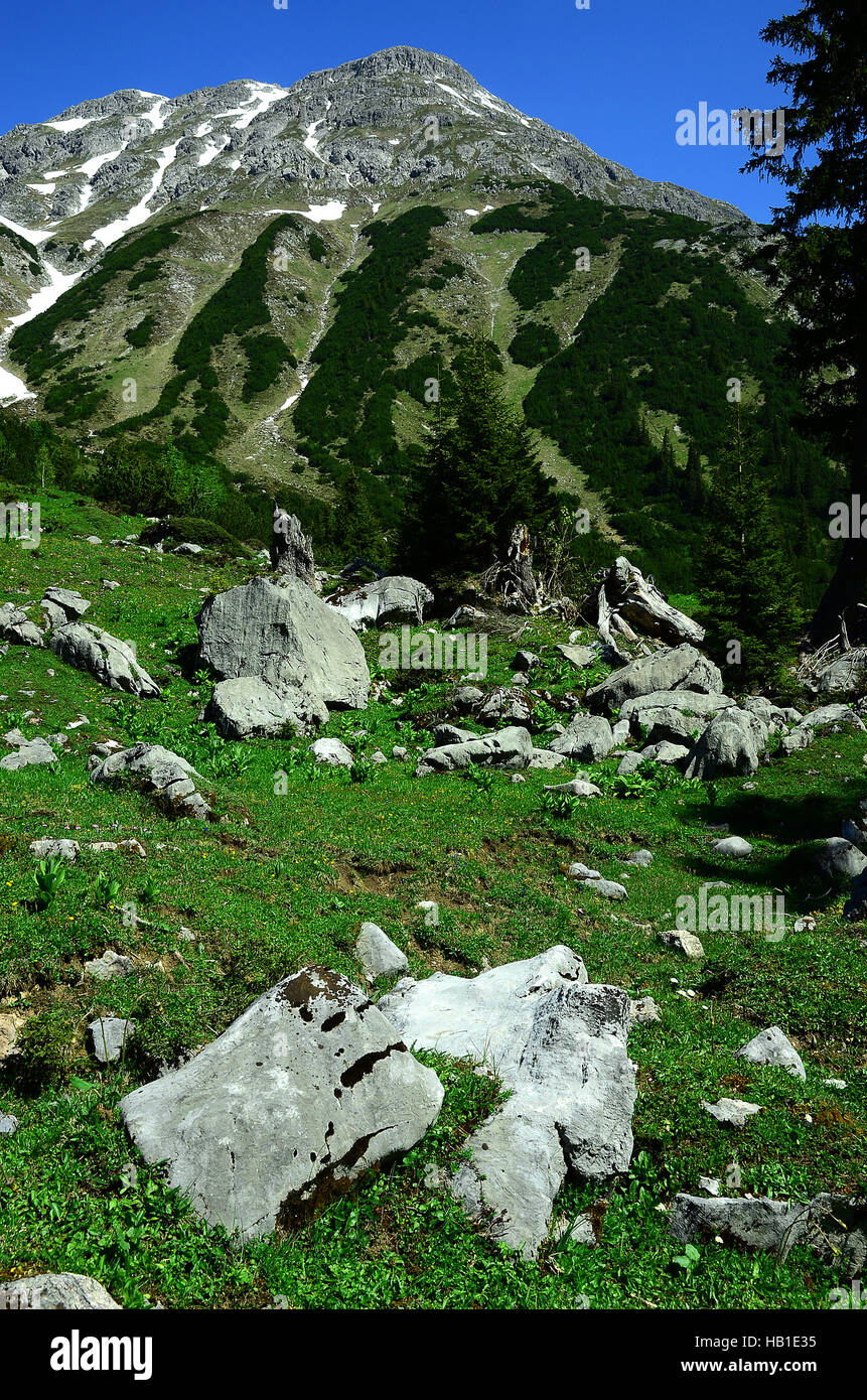 The alps austria hi-res stock photography and images - Alamy